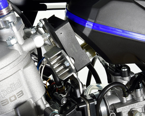 Engine - Polini 303 with Dual Ignition & Electric Start – North Wing Sports
